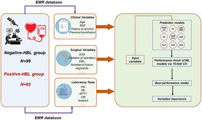 Frontiers | Application of supervised machine learning algorithms to predict the risk of hidden ...